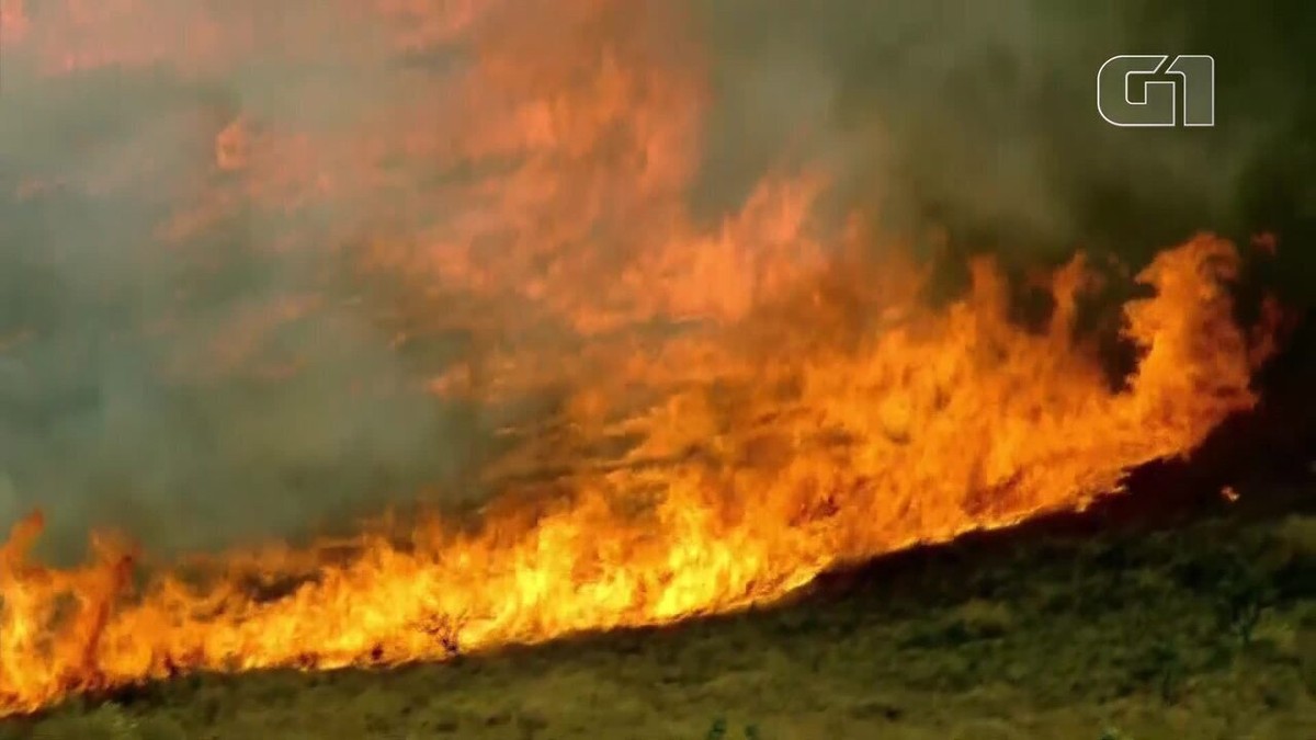 Incêndio na Floresta Nacional de Brasília pode ter sido proposital ...
