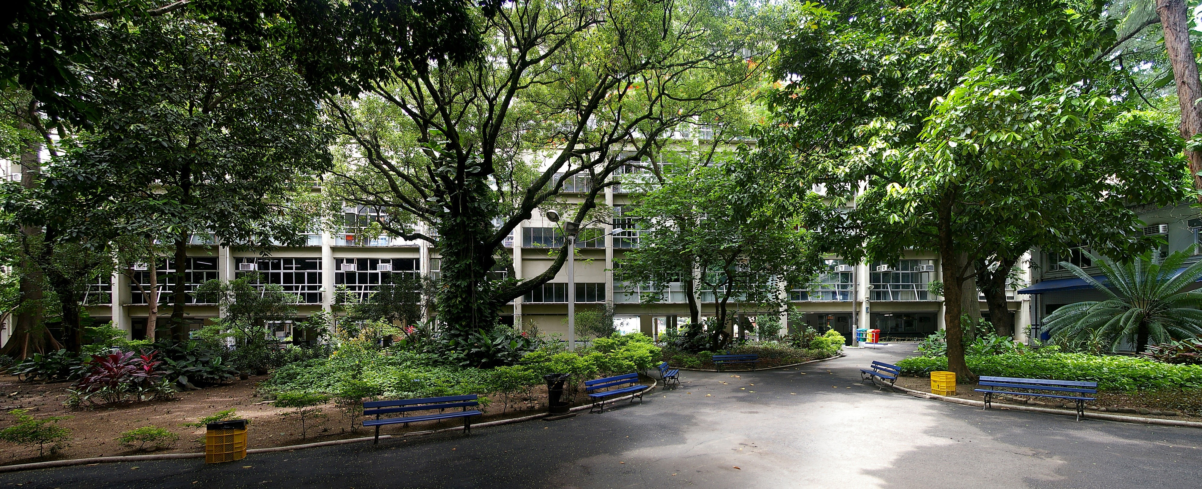 Veja a lista de aprovados no Cefet/RJ pelo Sisu | Rio de Janeiro | G1