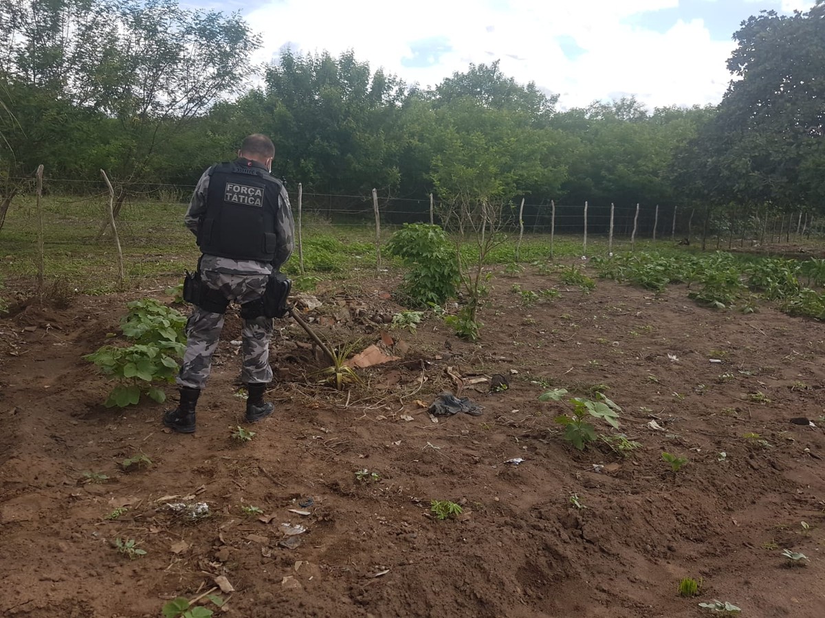 Homem é Preso Suspeito De Matar Jovem E Enterrar Corpo No Quintal De