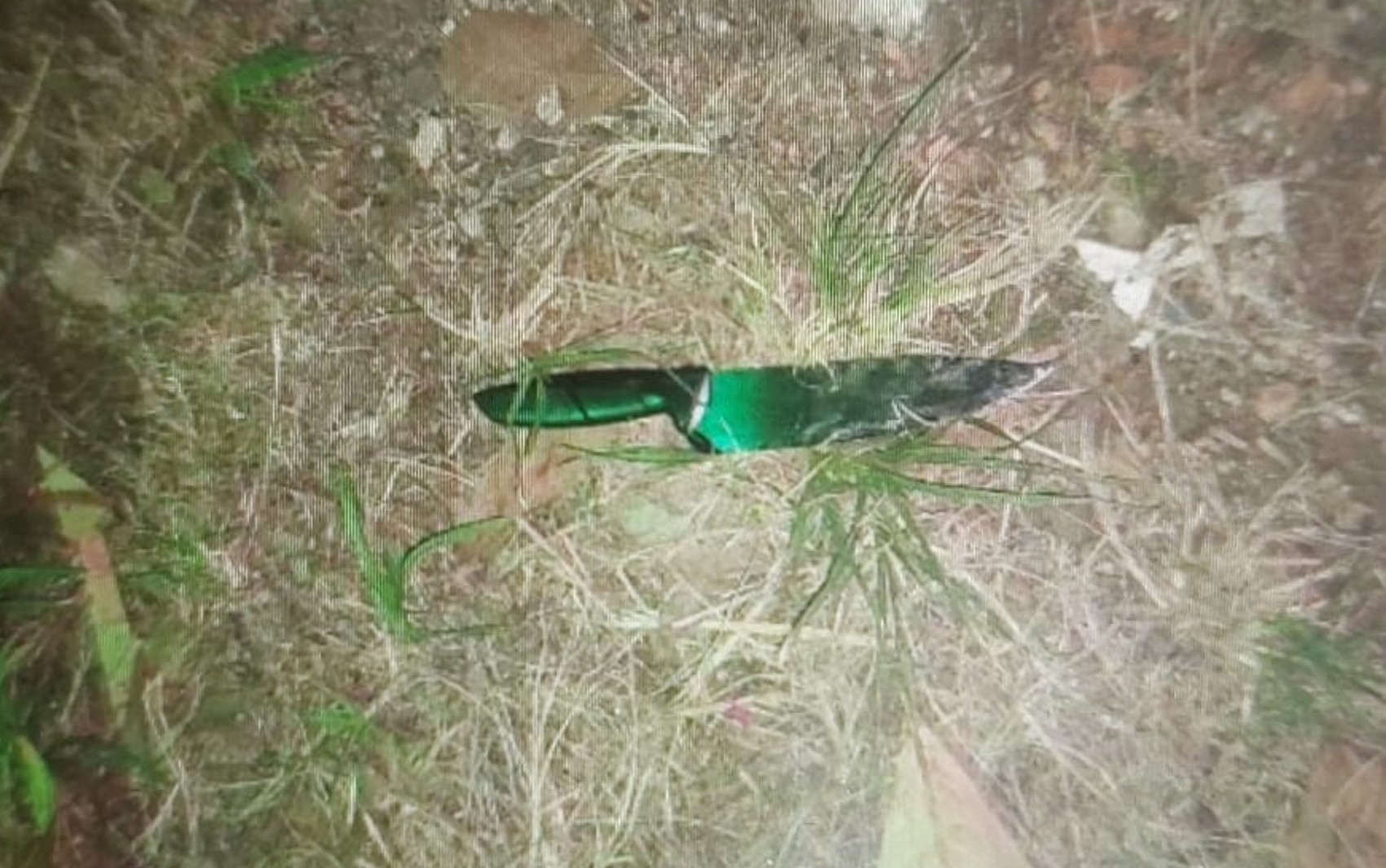 Suspeita de esfaquear companheiro durante briga é presa em Ribeirão Preto, SP; VÍDEO