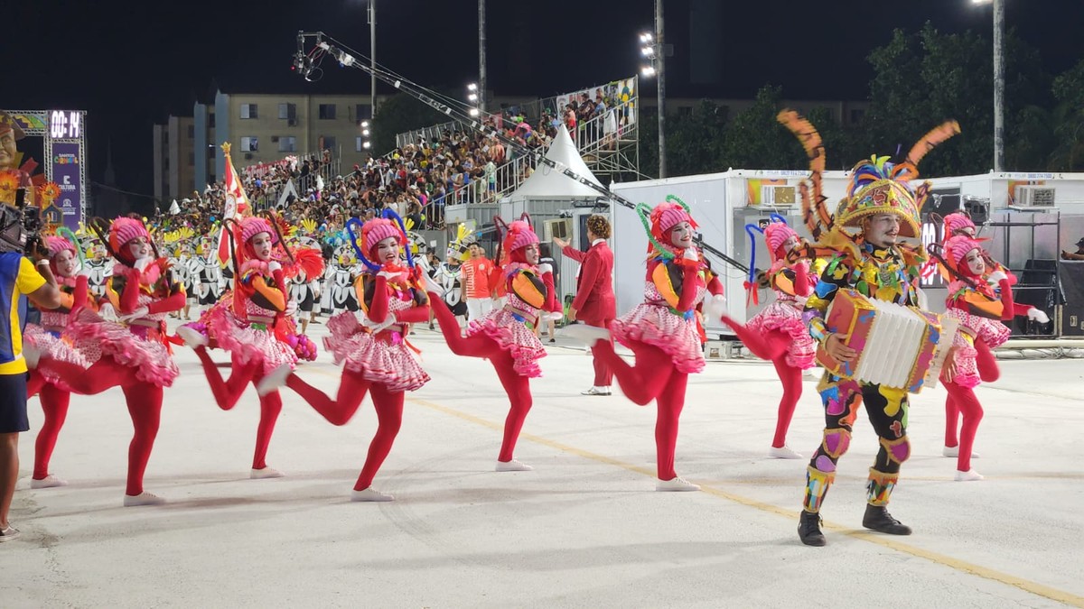 Confira as fotos da última noite de desfiles do Carnaval 2024 em Santos ...