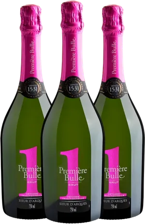 Espumante Do Fim Do Ano 8 Sugestões De Rótulos De Sommelier G1