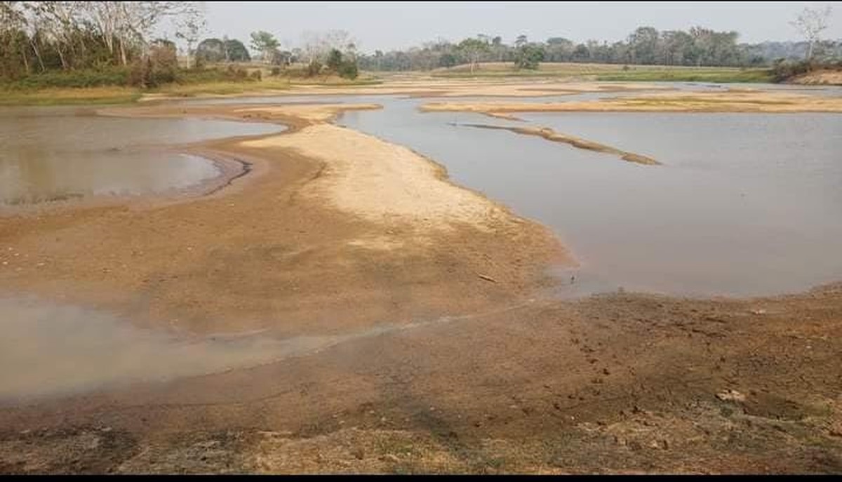 Moradores do Bujari têm racionamento de água após igarapé que abastece ...