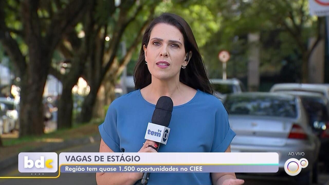 CIEE está com mais de 1,4 mil vagas de estágio abertas no interior de SP; saiba como se ...