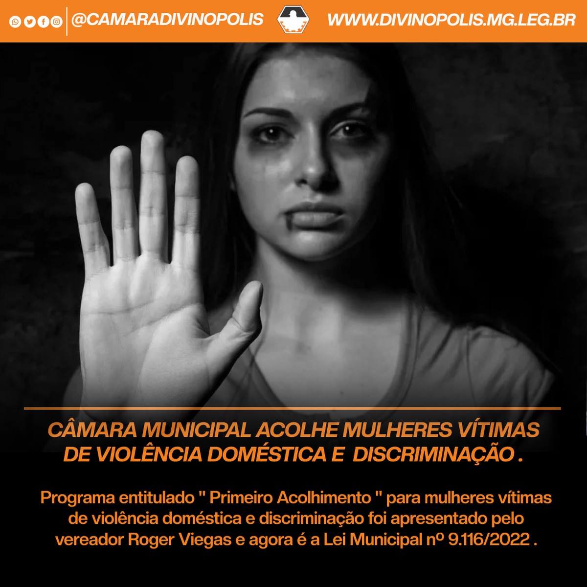 Lei Prevê Acolhimento às Mulheres Vítimas De Violência E Discriminação