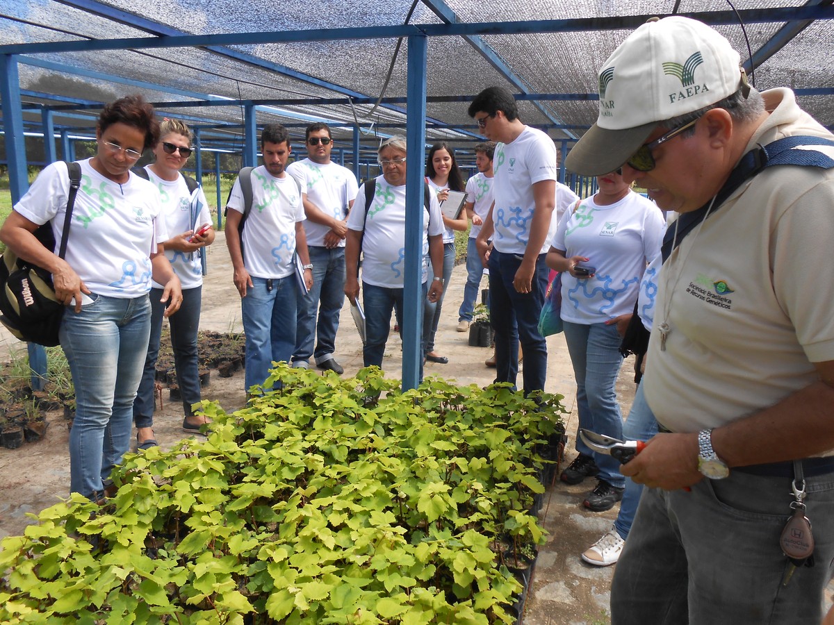 Curso técnico em agronegócio do Senar oferece 30 vagas em Rorainópolis ...