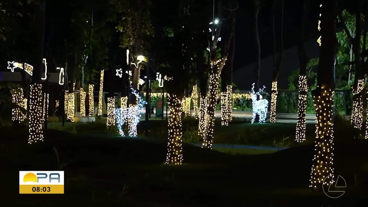 Parque da Cidade reabre neste sábado com programação 'Natal Encantado' | G1