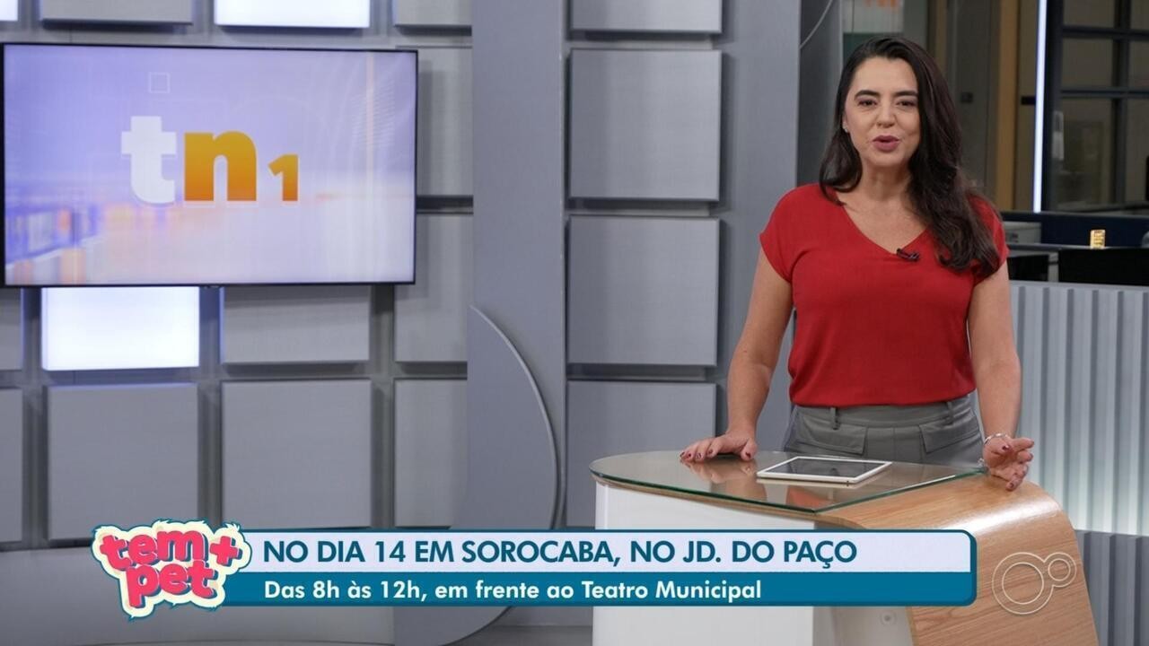TEM+ Pet promove bem-estar e socialização entre tutores e animais | G1