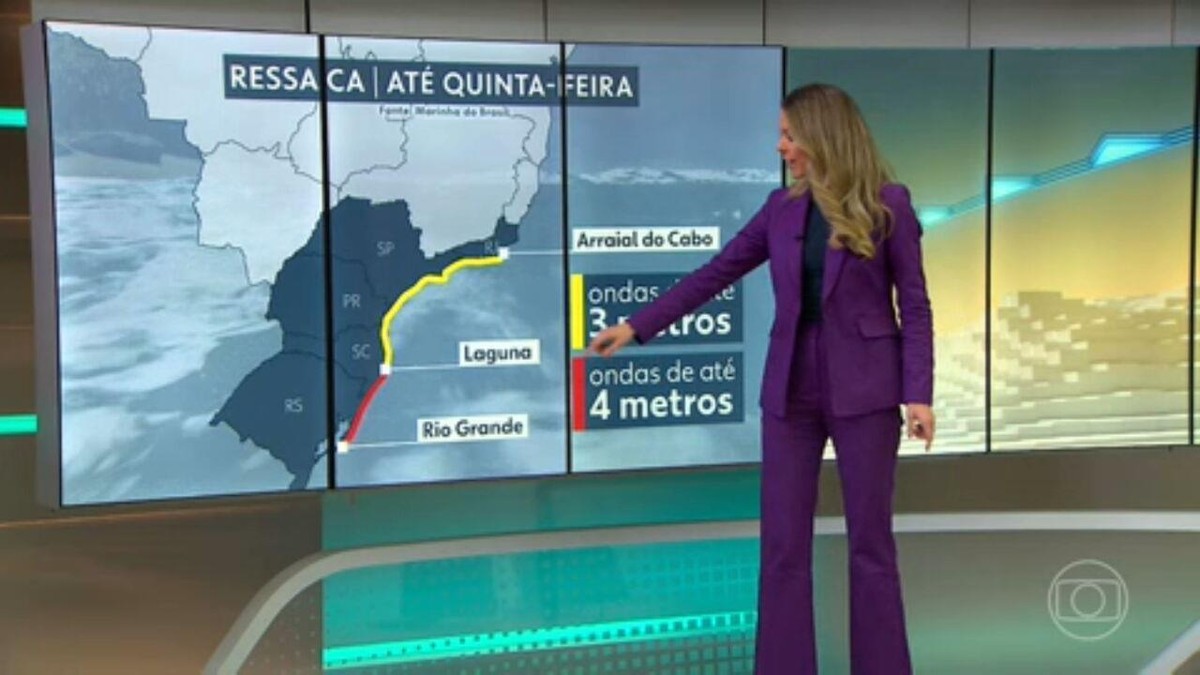 Saiba a diferença entre a geada branca e a geada negra | Jornal Hoje | G1