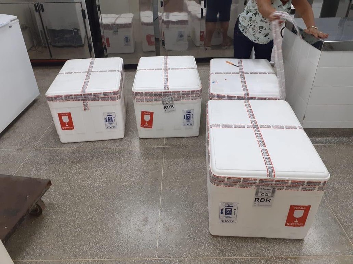 Após três meses sem estoque, Acre recebe 9 mil doses da vacina ...