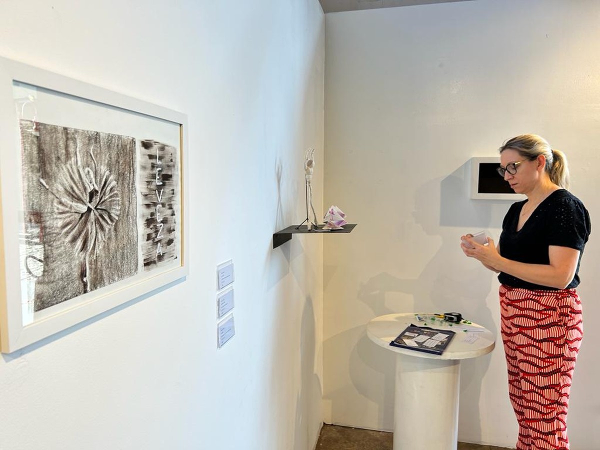 Artista plástica Rosi Tortola mapeia desejos e sentimentos na exposição ...