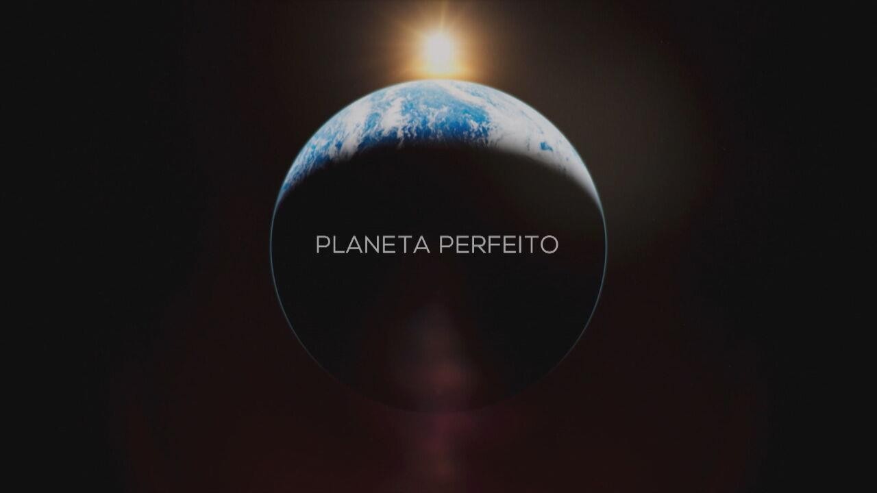 Nova série do Fantástico mostra como e por que a Terra é o Planeta ...