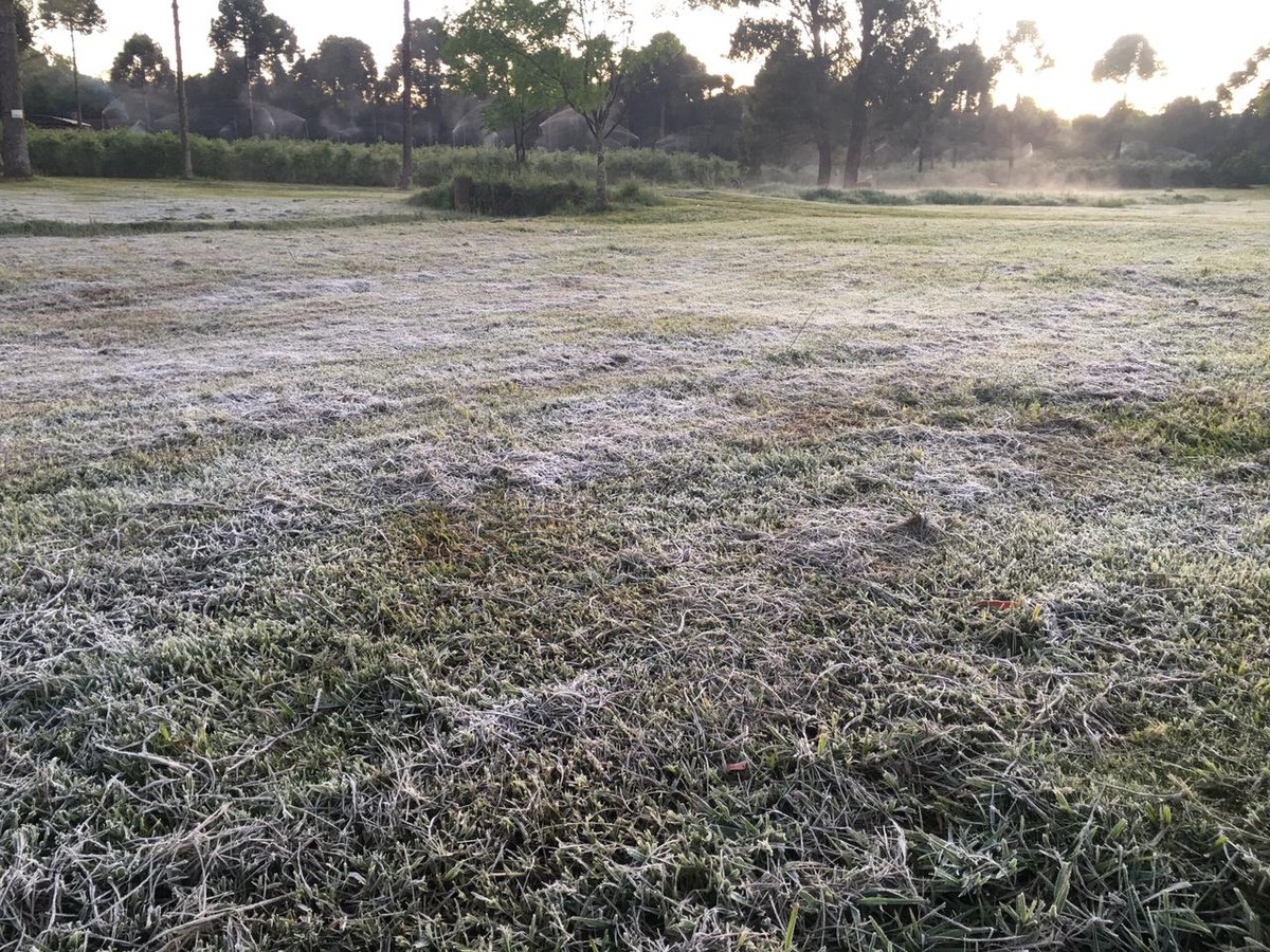 Cidades do Norte e Serra do RS amanhecem cobertas por geada | Rio ...