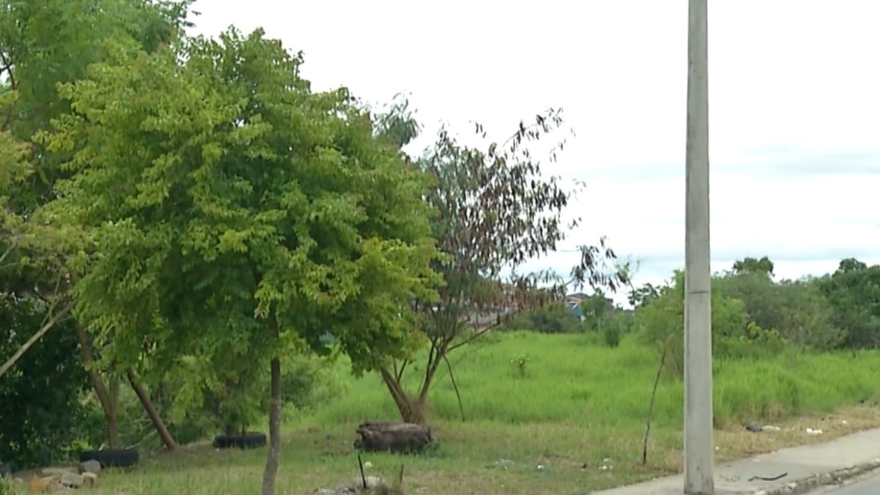 Homem de 33 anos morre após bater carro em poste em avenida de Poá | Mogi das Cruzes e Suzano | G1