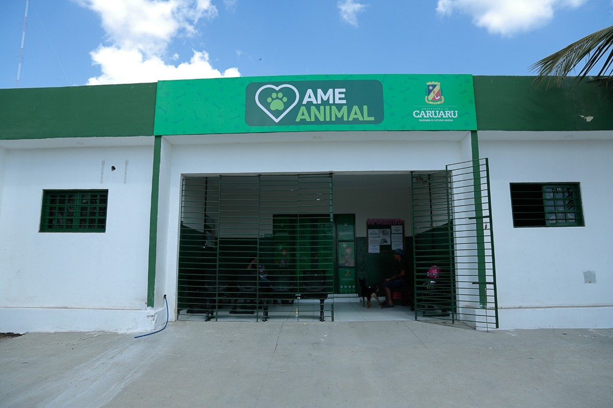 Ame Animal celebra aniversário com programação especial e serviços ...