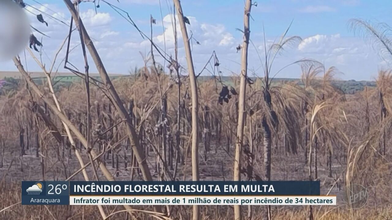 Homem é multado em mais de R$ 1 milhão por incêndio florestal em ...