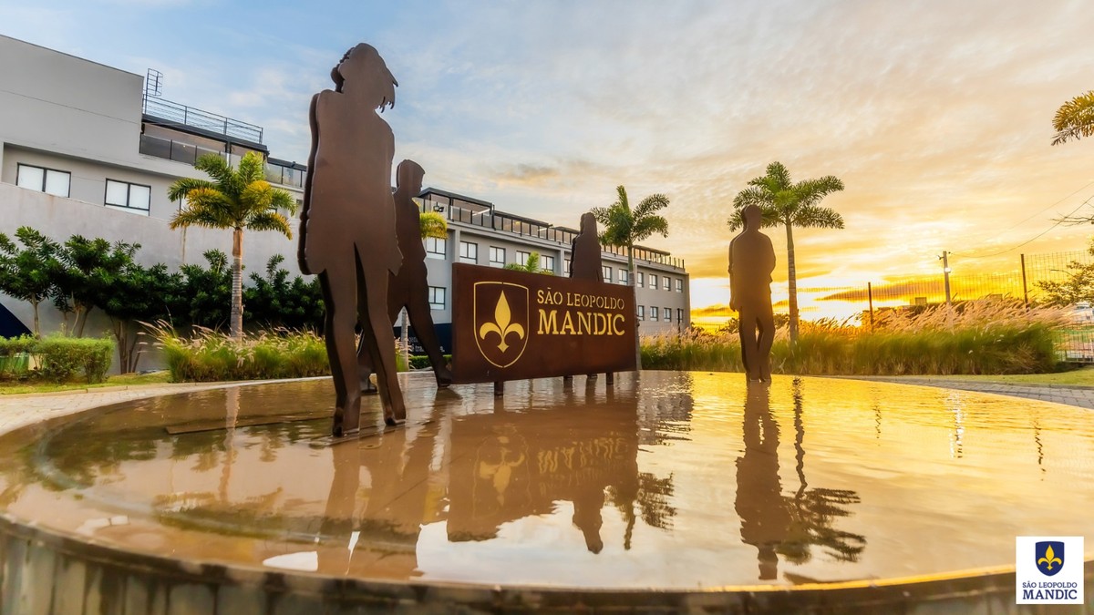 Aliança: Hospital Humanitária e Rede de Serviços de Saúde da São ...