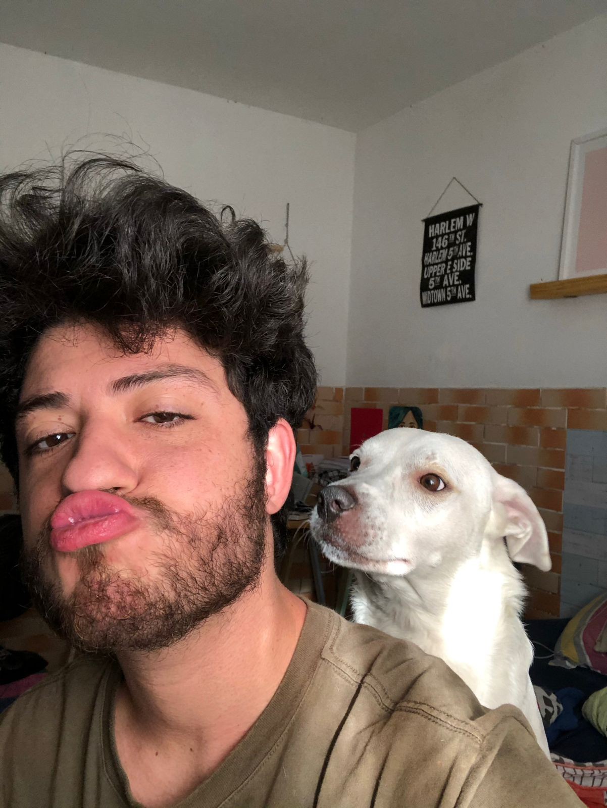 'Cido, volta': imagem que viralizou na web com cachorro descendo tobogã é dublagem de vídeo ...