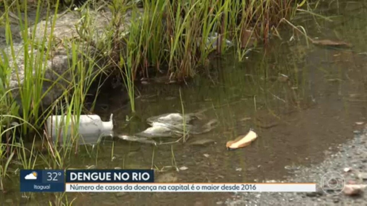 Número de casos de dengue no Rio é o maior desde 2016; incidência é ...