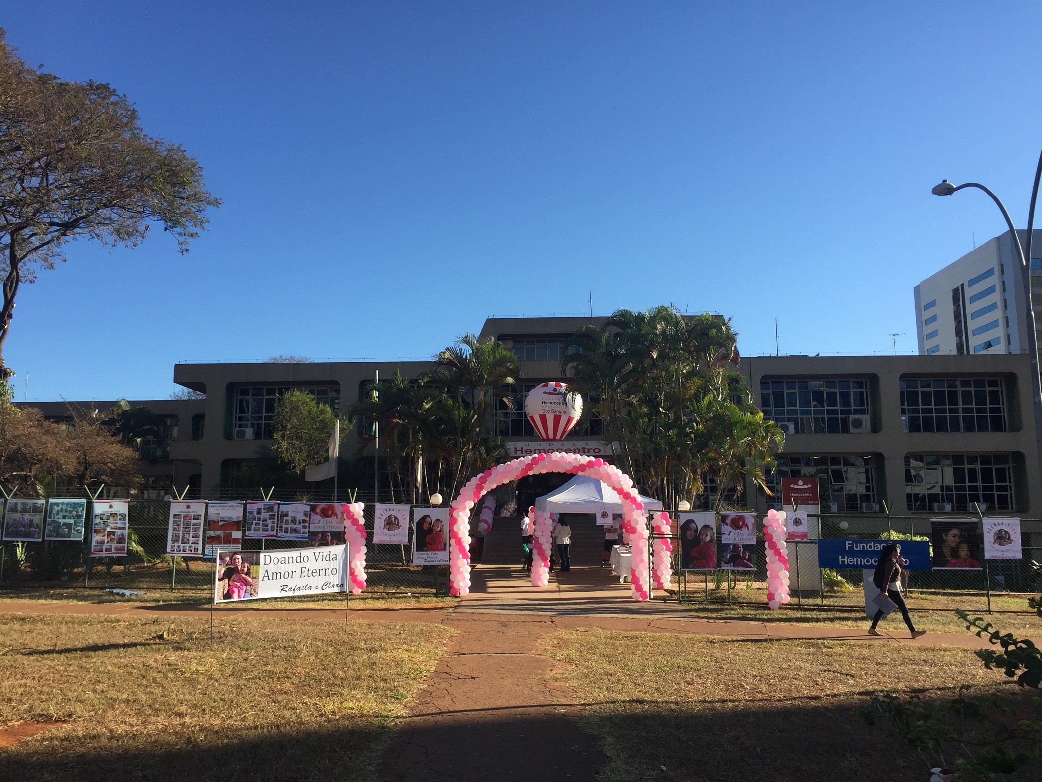 Após decisão do Supremo, Hemocentro de Brasília muda protocolos e ...