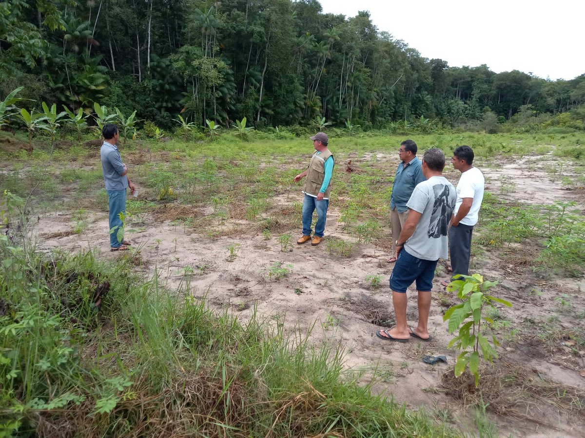 Óbidos adere ao projeto ‘Maniva Tapajós’ com foco na melhoraria das ...