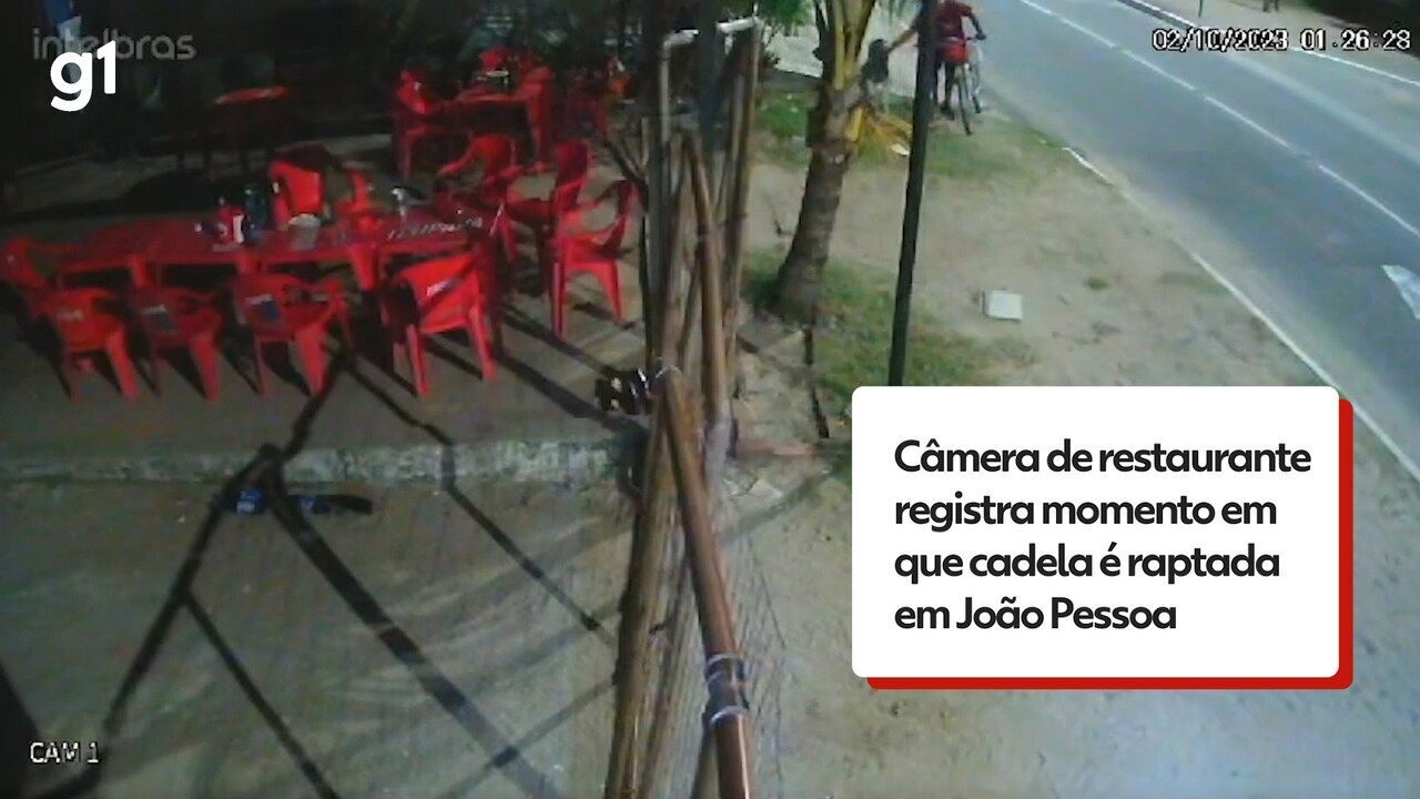 Câmera de segurança registra momento em que cadela é raptada em João ...