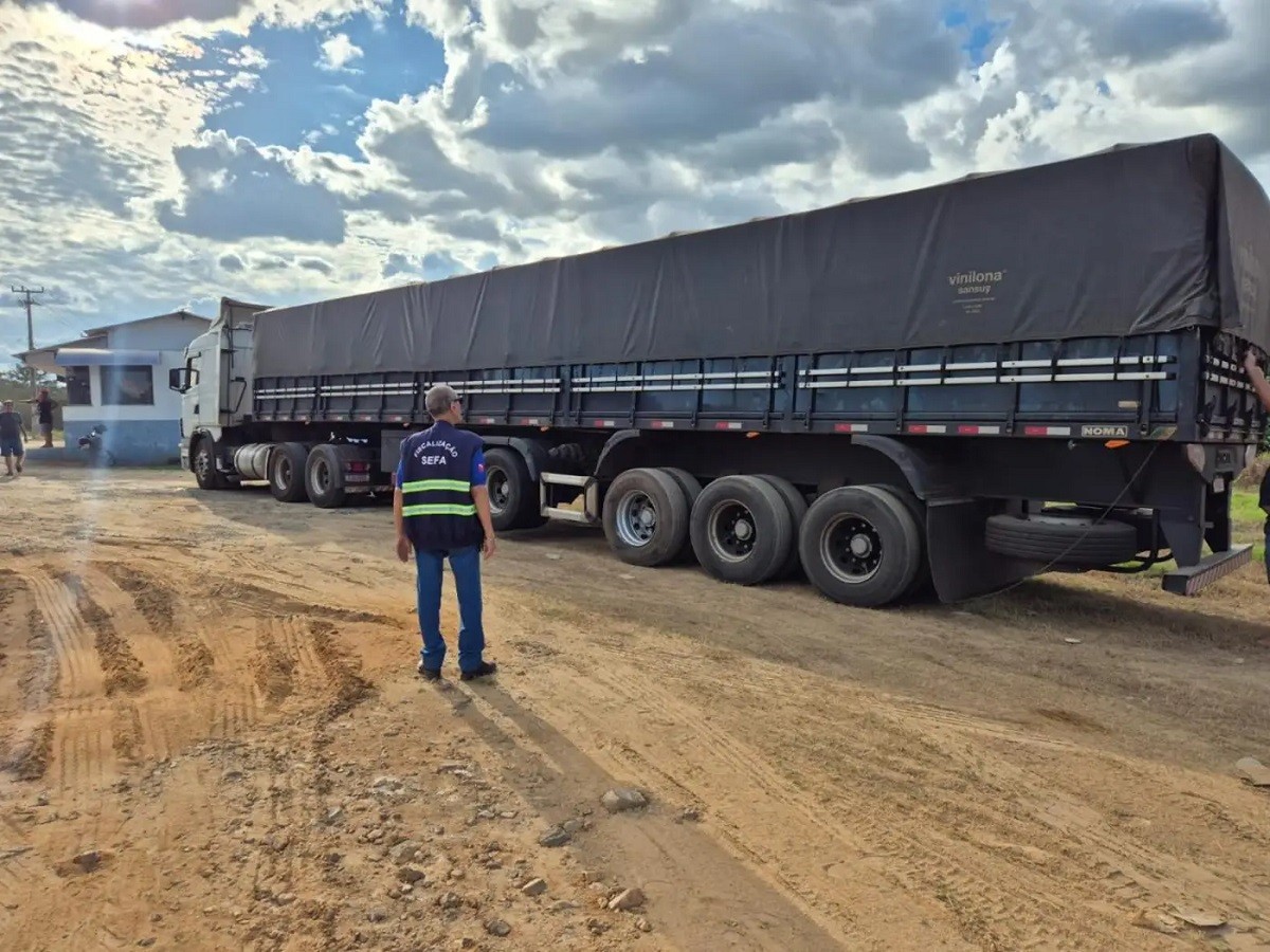 Sefa apreende 43 mil toneladas de soja em Santarém e cobra R$ 30 mi | G1