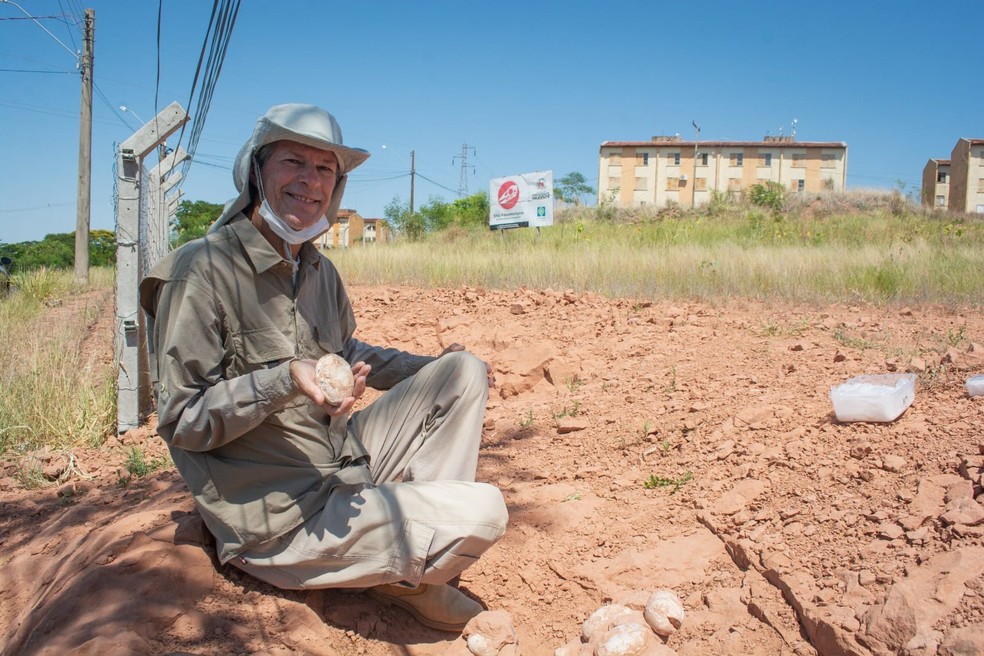 ‘Jurassic Park’ brasileira: conhecida como Vale dos Dinossauros ...