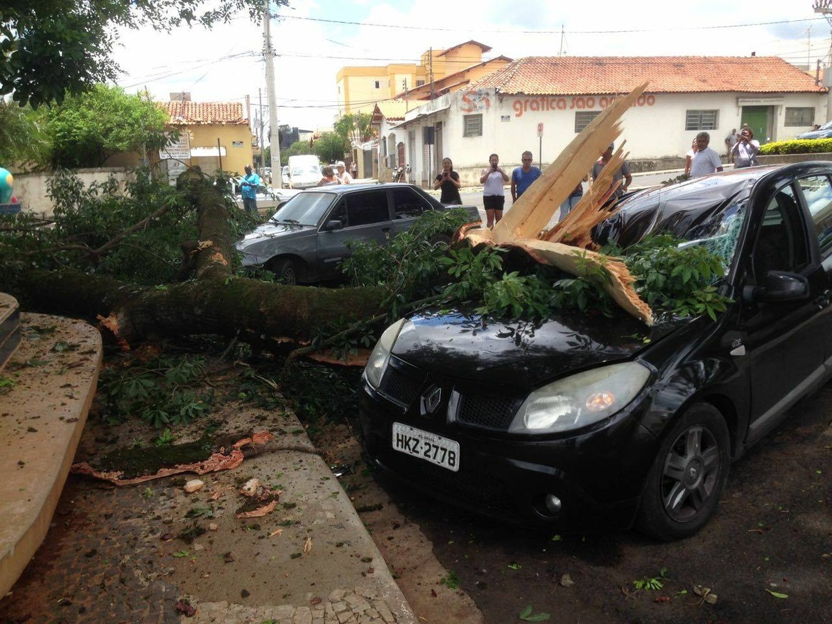 Galho de 15 metros cai de árvore e atinge carros estacionados em Araxá ...