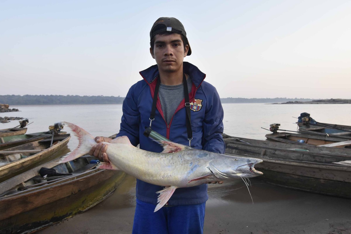 Maior migrador de água doce do mundo está na lista internacional de ...