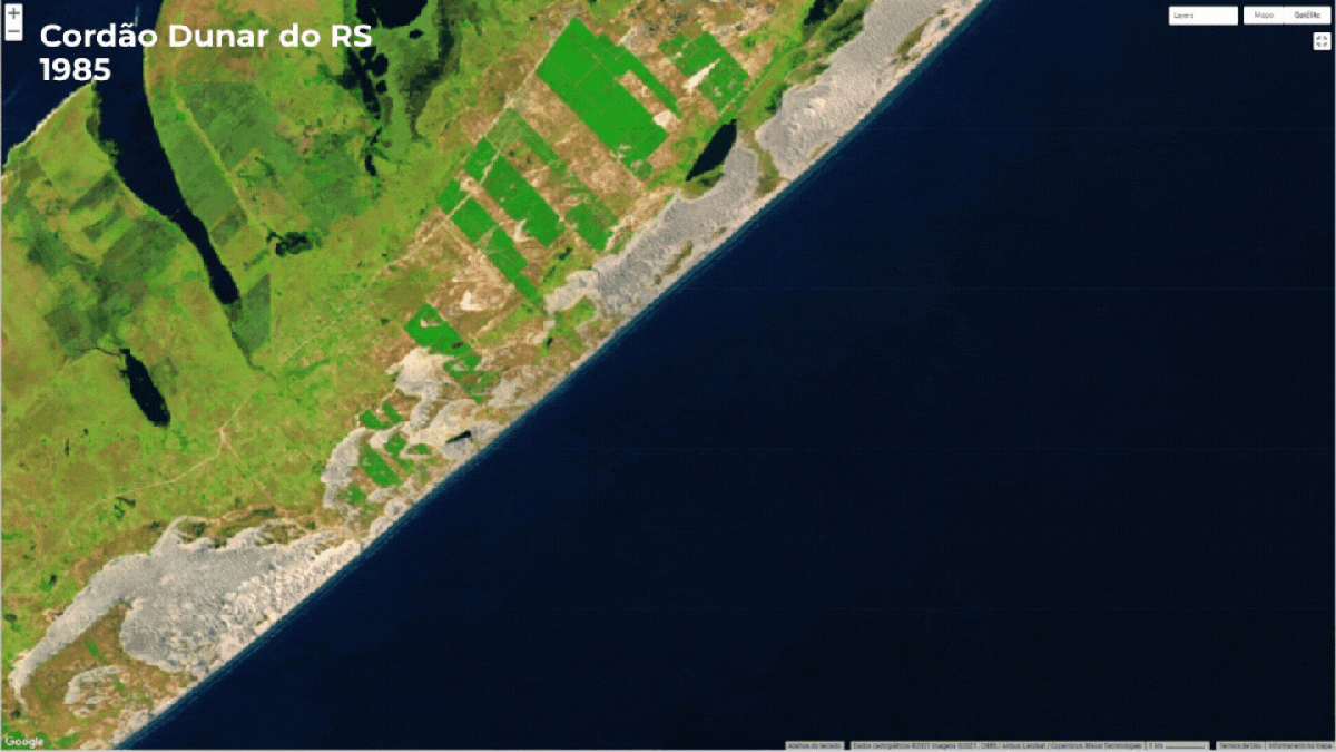 Duna, ficção científica: bioma foi reduzido em um terço nos últimos 35 ...