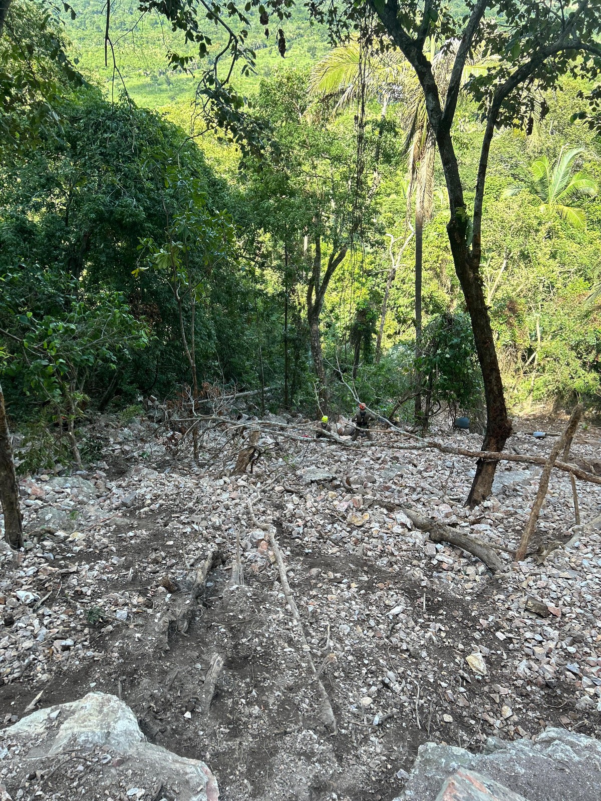 Segurança morre ao cair de precipício após tentar fugir de grupo armado ...