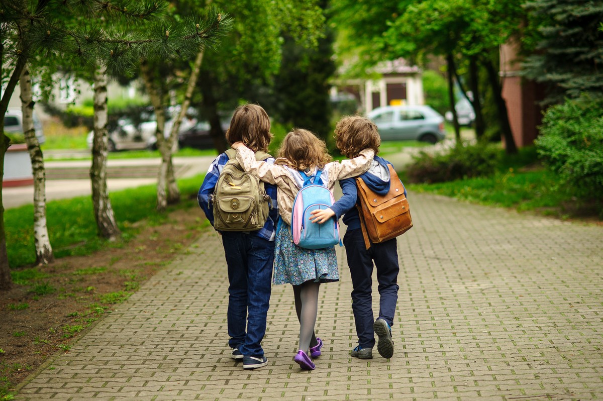 Entenda as características de um processo de inclusão