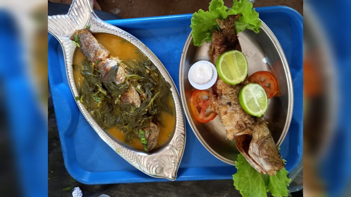 Miritituba se prepara para a 18ª edição do Festival da Traíra com ...