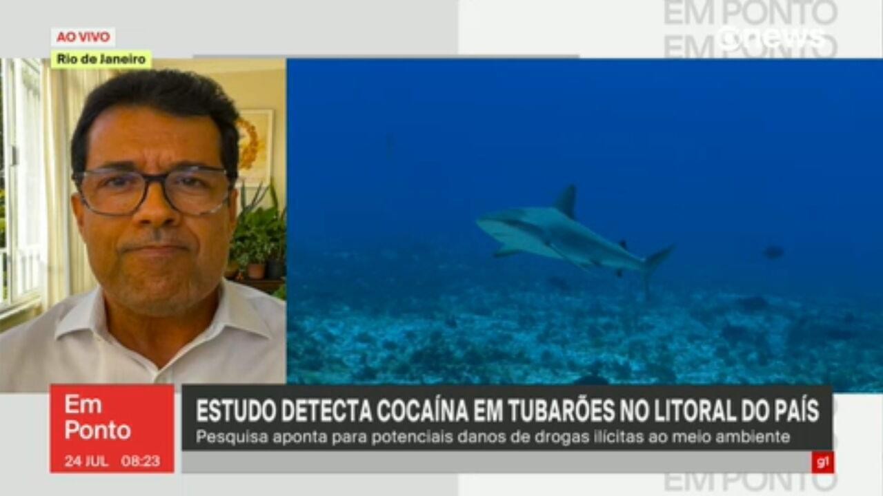 Cocaína rosa: a perigosa droga que está virando moda em festas na ...