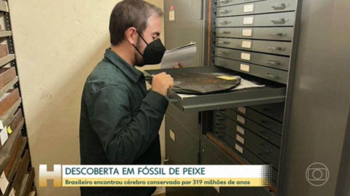 Pesquisador brasileiro relaciona evolução do ser humano a espécie de ...