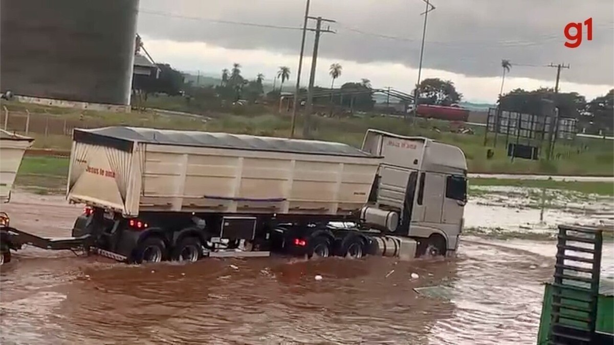 Veículos se arriscam em travessia de rodovia alagada em MS; Veja vídeo ...