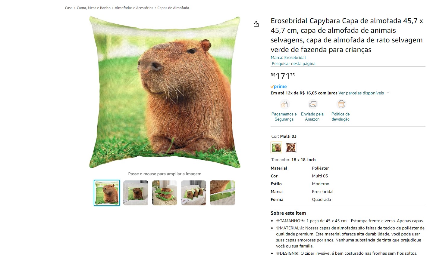 Capivara de MS fica 'famosa' no mundo inteiro ao virar estampa de ...