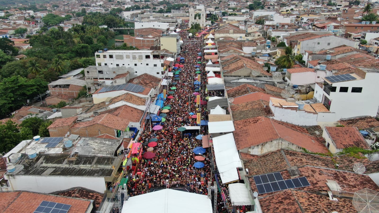 Carnaval do Papangu 2024, em Bezerros, recebeu mais de meio milhão de ...