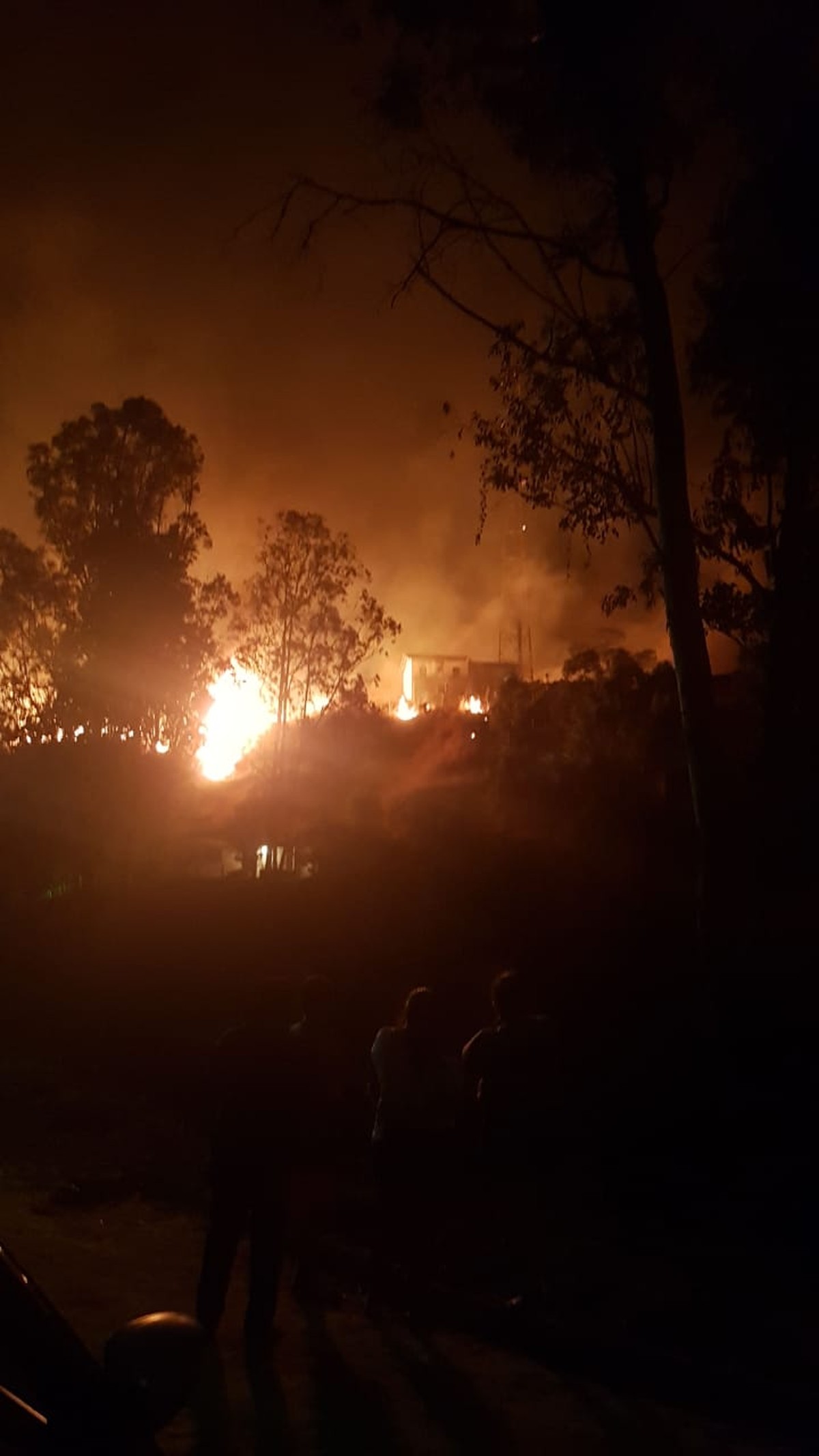 Incêndio atinge sete mil metros quadrados de área de vegetação em ...