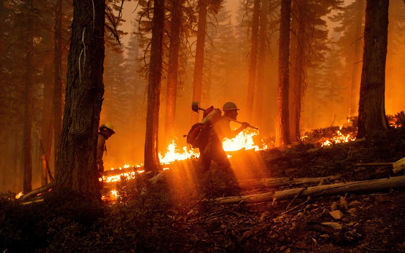 Bombeiros mexicanos chegam à Califórnia para ajudar a combater ...
