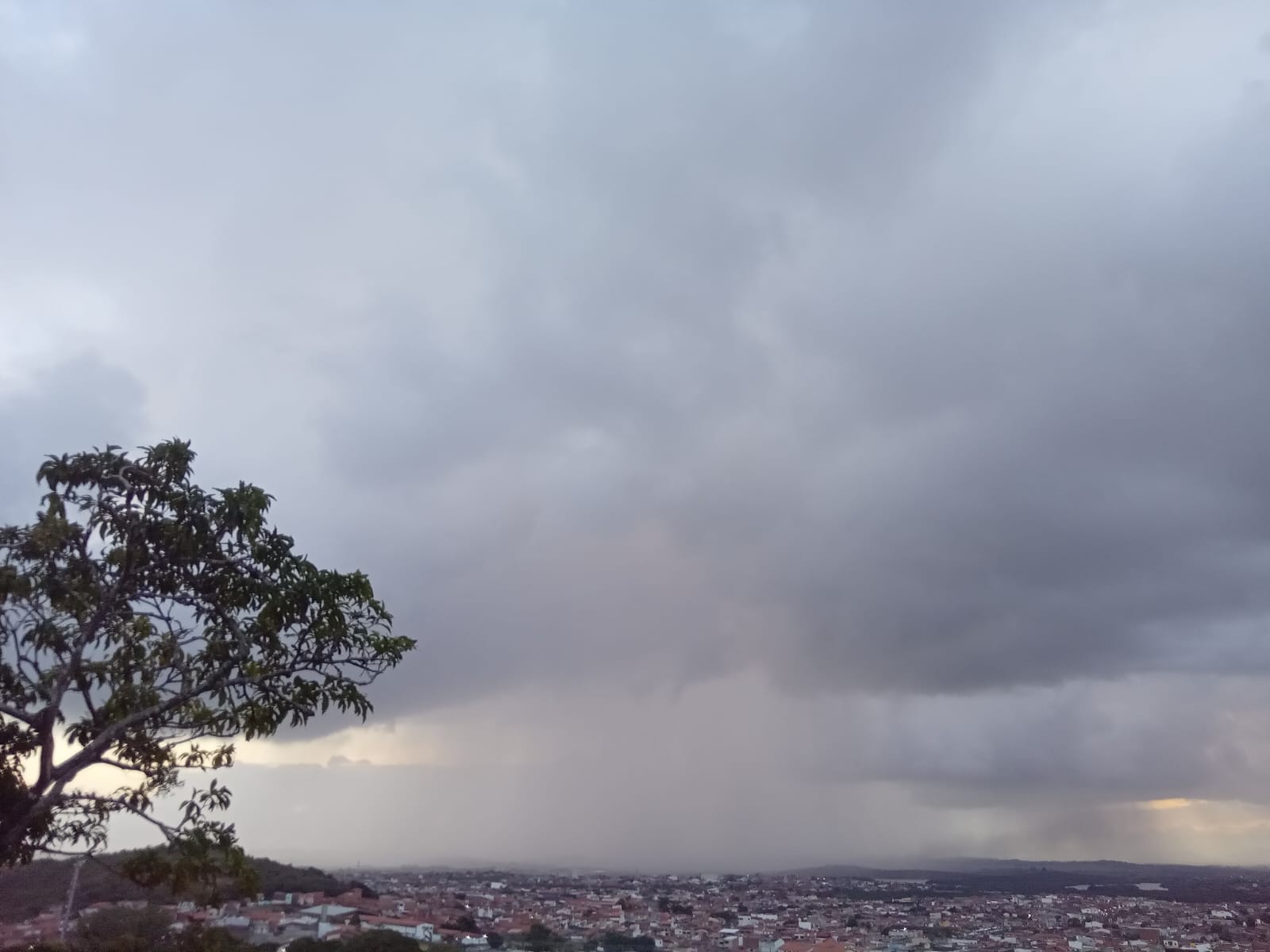 Chuva em Aracaju: capital registra mais de 50 mm em 12 horas | G1