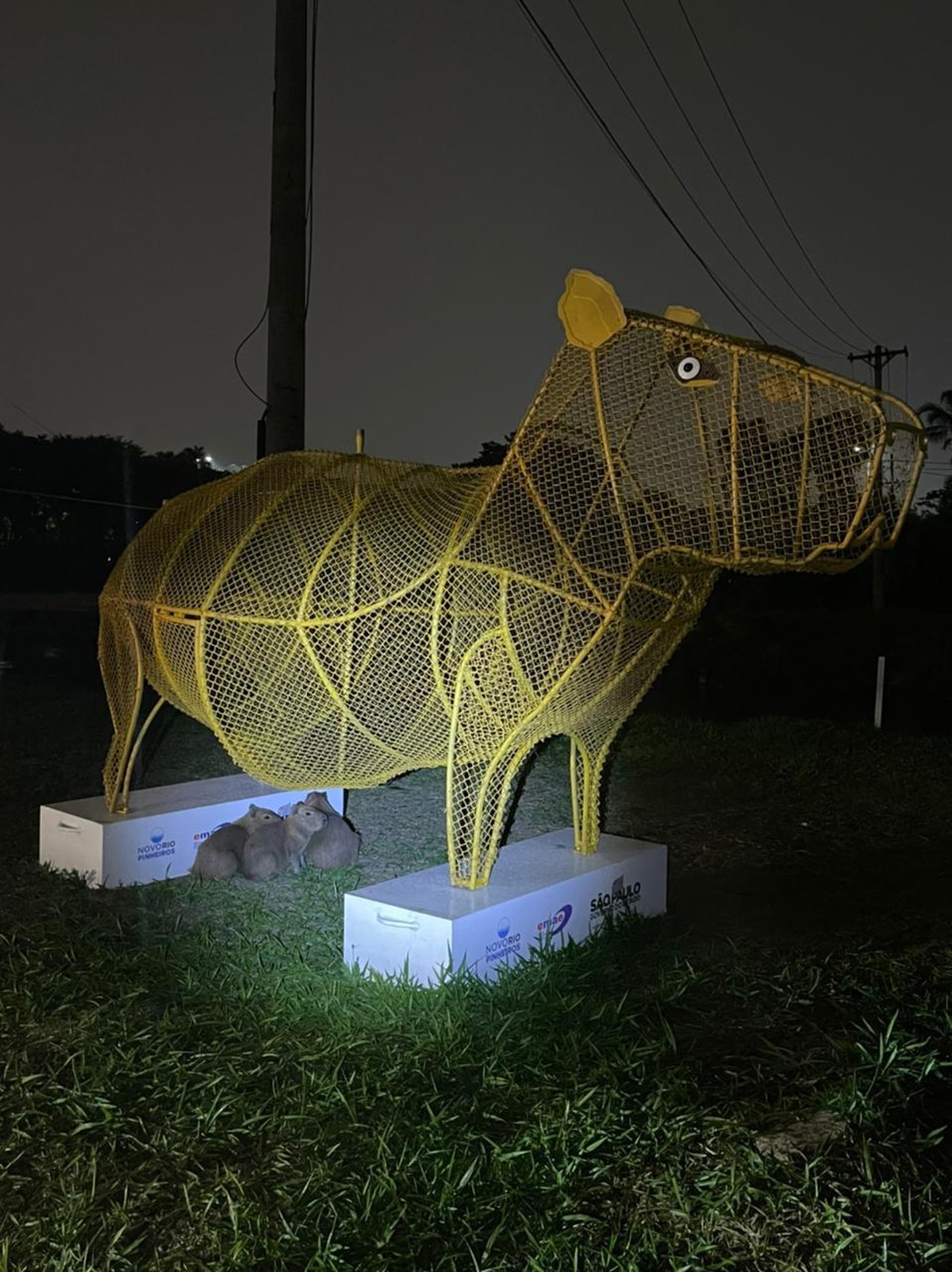 Filhotes de capivara se abrigam sob escultura do animal instalada ...
