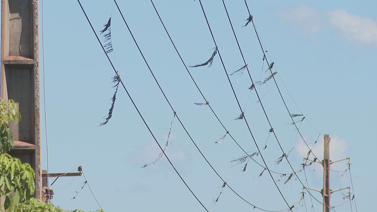 Mulher fica em estado grave após ser atingida por linha de cerol no DF ...