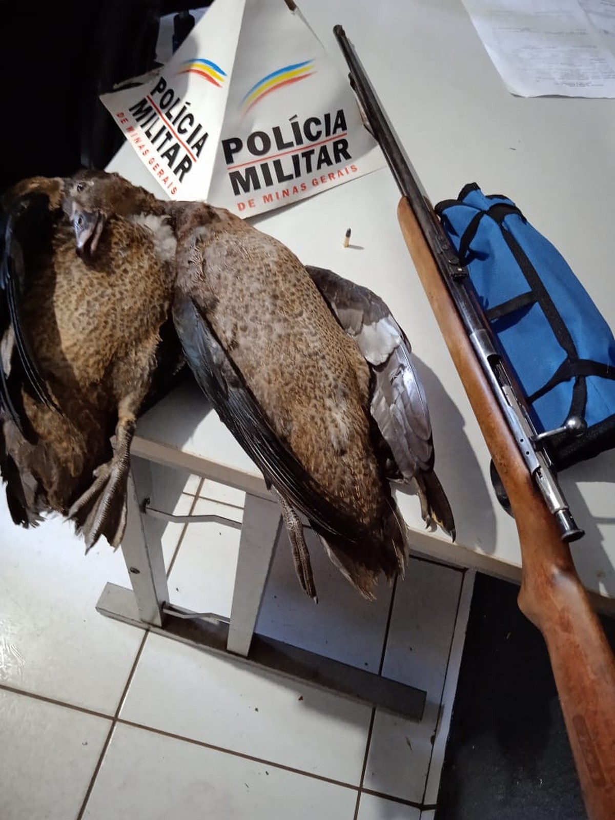 Suspeitos de caça ilegal são presos com patos selvagens mortos em ...