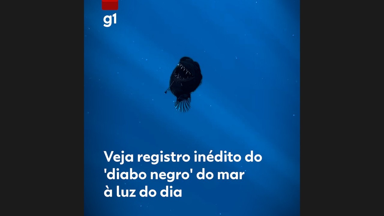 Pesquisadores espanhóis registram, pela 1ª vez, peixe 'diabo negro' à ...