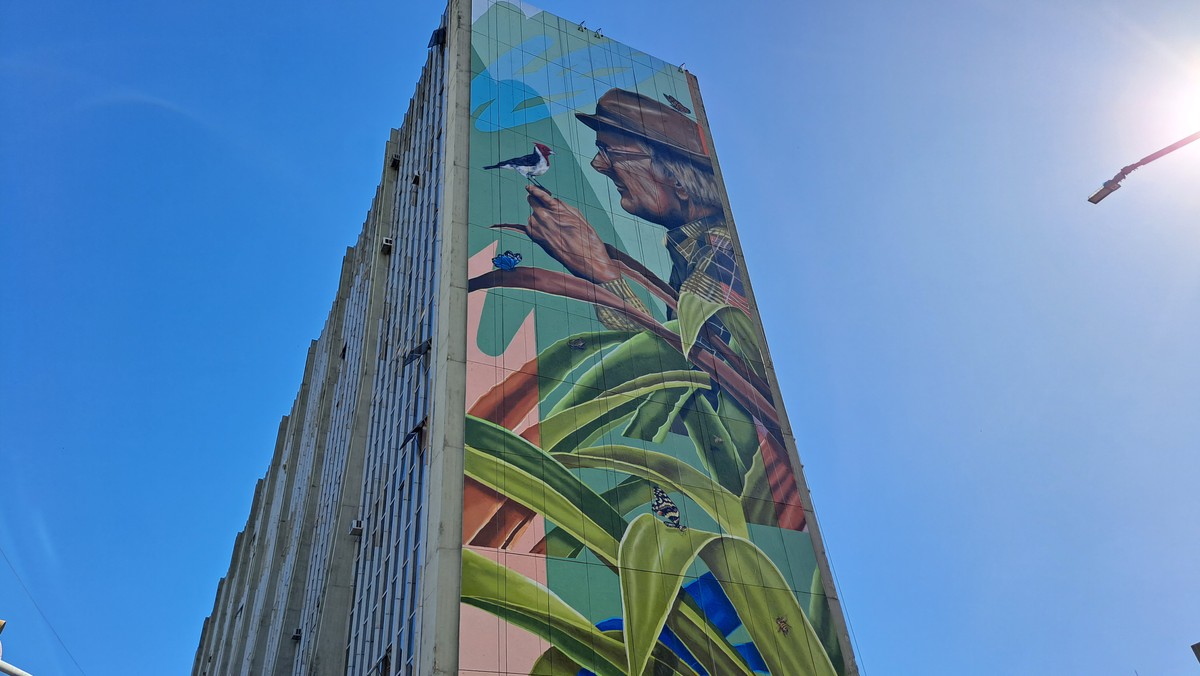 Ambientalista José Lutzenberger é retratado em mural de 50 metros de ...