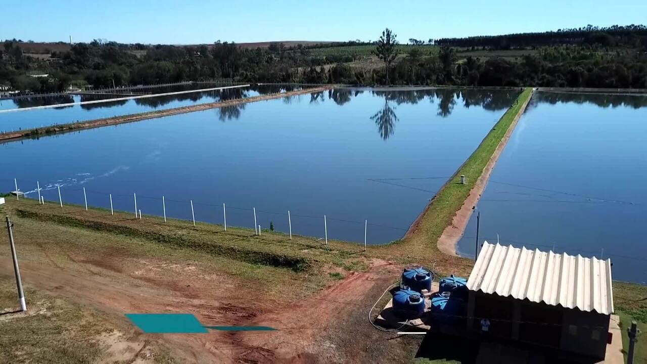 Sistema da Legun Biotecnologia reduz contaminação de rio ao longo dos ...