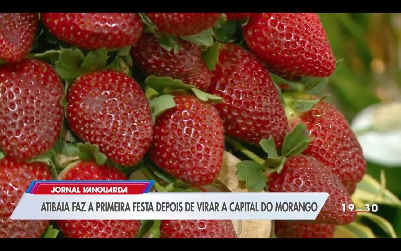 Capital Nacional do Morango: como a fruta passou a ser símbolo de ...