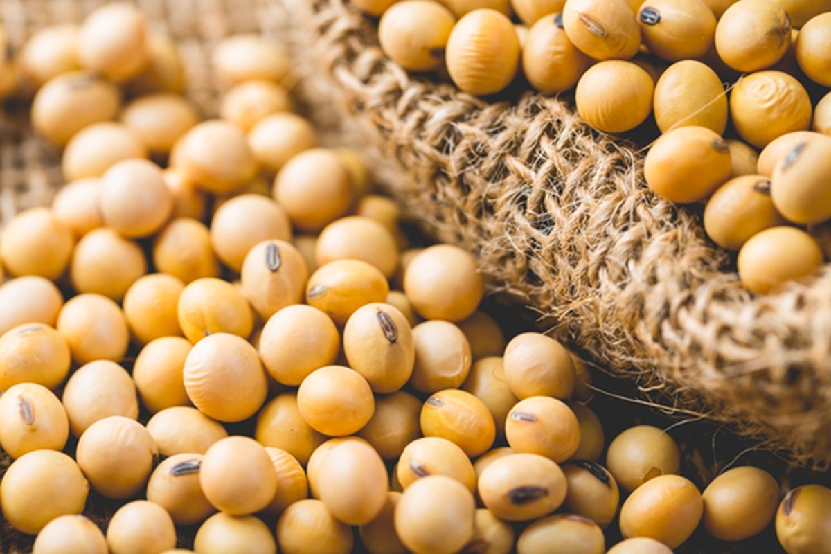 Soja será principal exportação do Brasil pelo 6º ano seguido ...